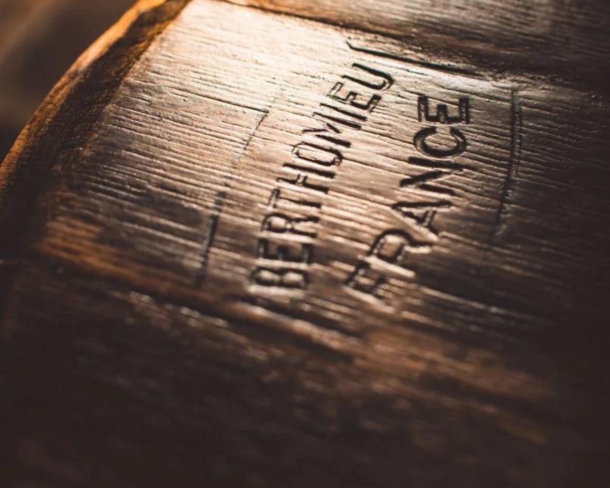 Order Your Cold Immersion Barrel | Brass Monkey – Brass Monkey Health